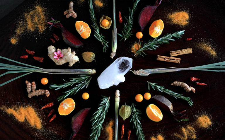 The Top 20 Healing Tonic Herbs for Lifelong Health & Wellness